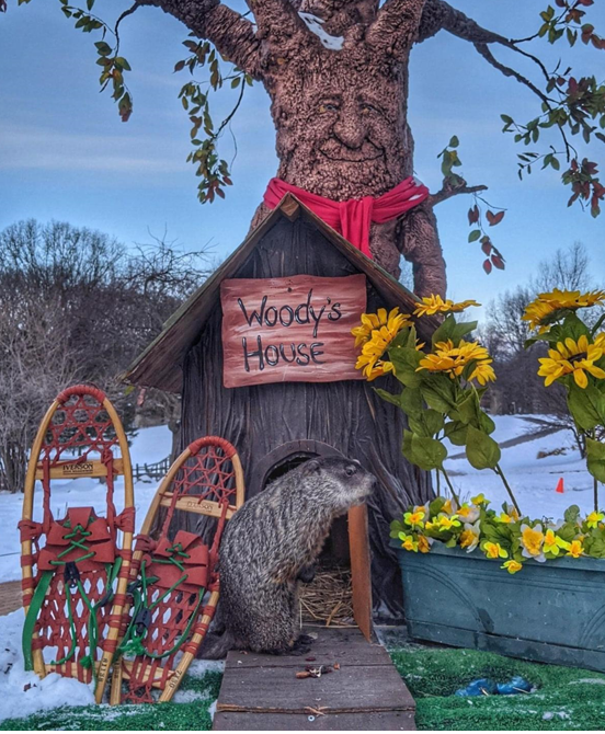 WHMI 93.5 Local News : Groundhog Day Celebration At Howell Nature Center